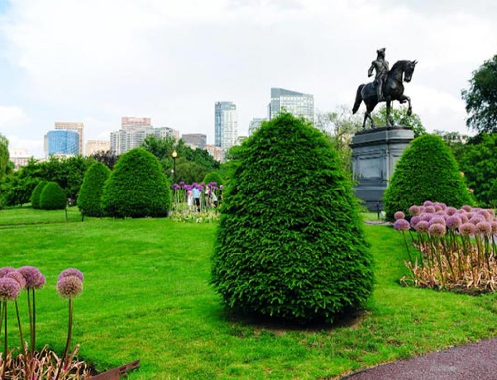 Las 7 Mejores zonas y barrios donde hospedarse en Boston