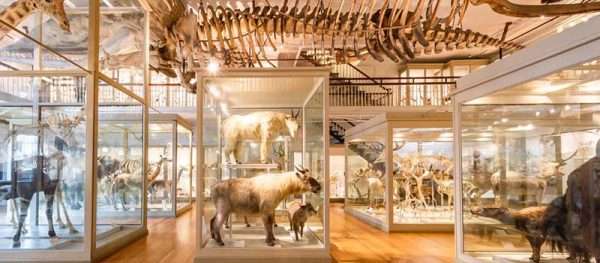 Top 12: Mejores museos que debes visitar en Boston