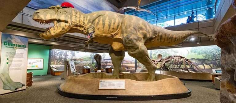 12 mejores museos de Boston que debes visitar