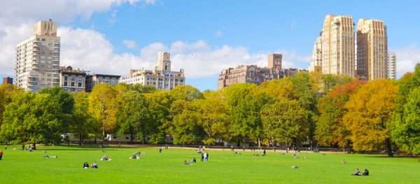 11 cosas que hacer en verano en Nueva York en 2025