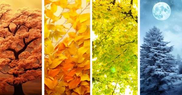 Guía: Clima y estaciones del año en Estados Unidos | Vacaciones Nueva York