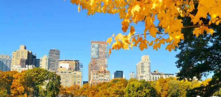 Guía: Clima y estaciones del año en Estados Unidos | Vacaciones Nueva York