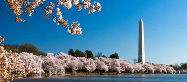 Qué ver en Washington DC en 1 día: Itinerario 2026